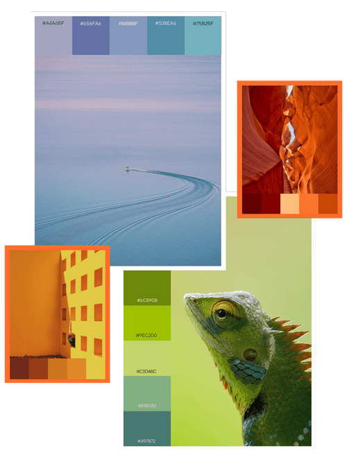 Daily Colors | Free Color Palette Inspiration