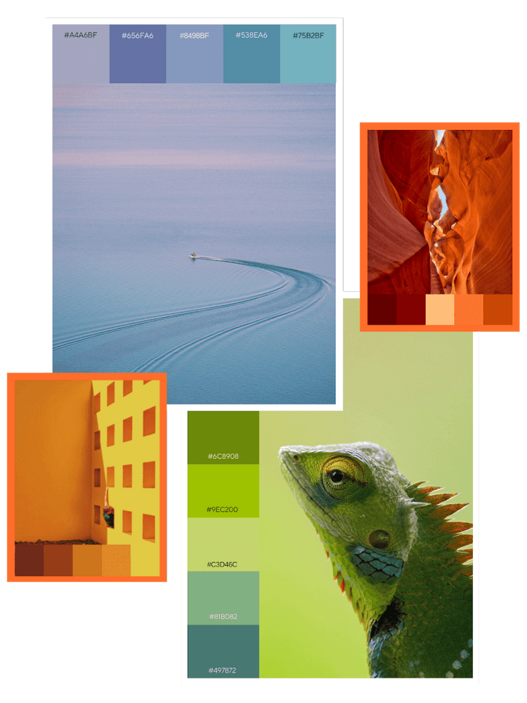 Daily Colors | Free Color Palette Inspiration